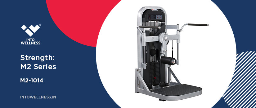 Gym Machines – Into Wellness